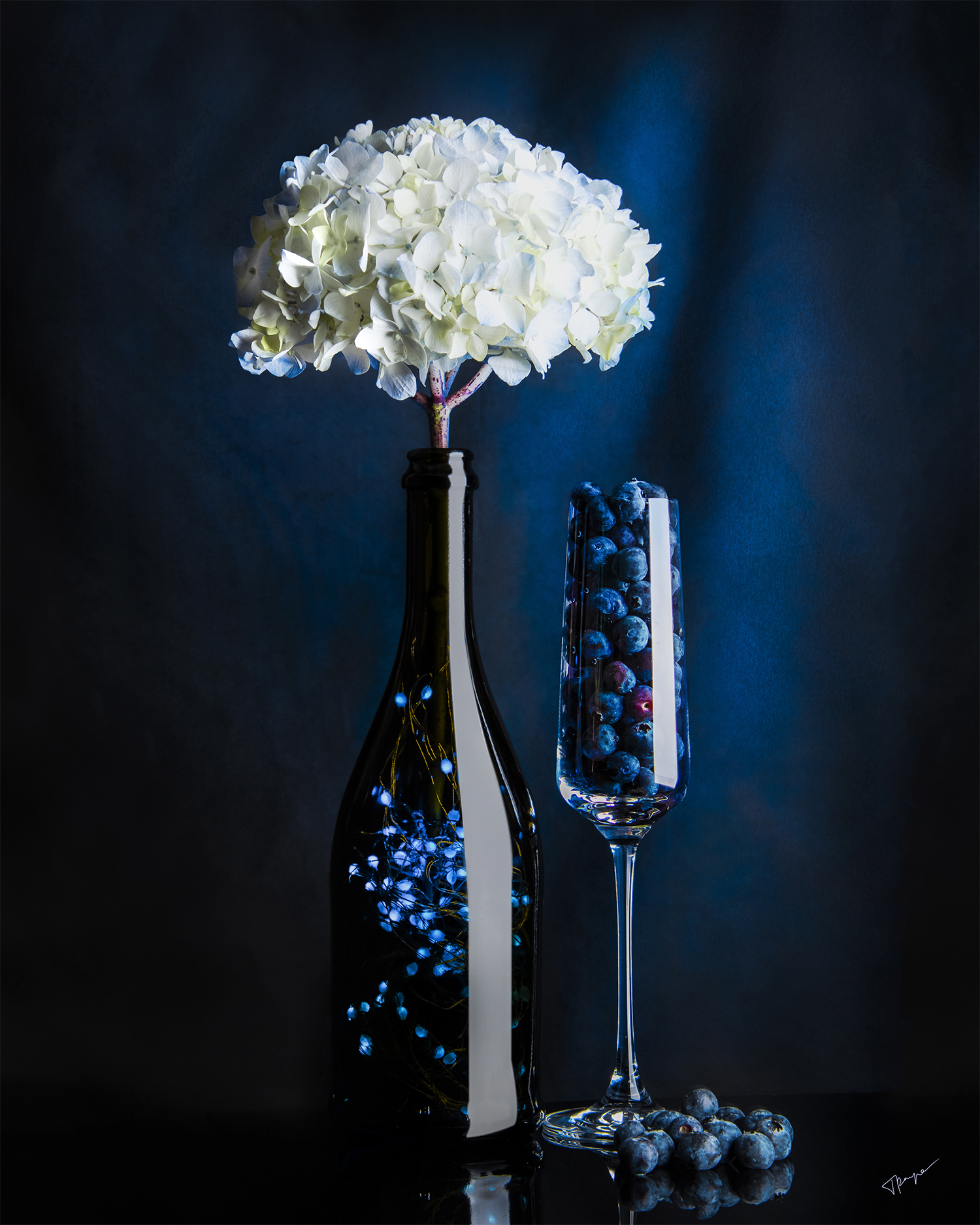 Still Life Photography – Toni Payne | Wildlife | Nature | Photographer ...